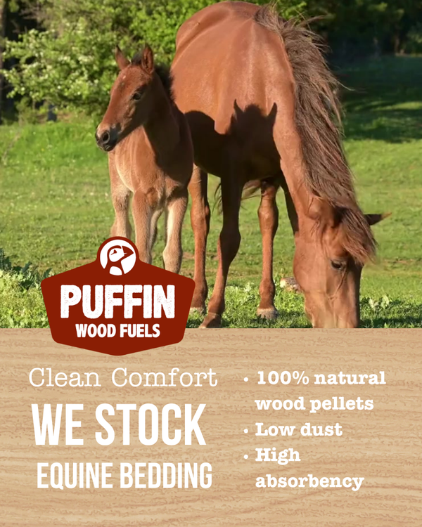 Why Equine Pellets Are a Game-Changer for Horse Owners - Puffin Wood Fuels