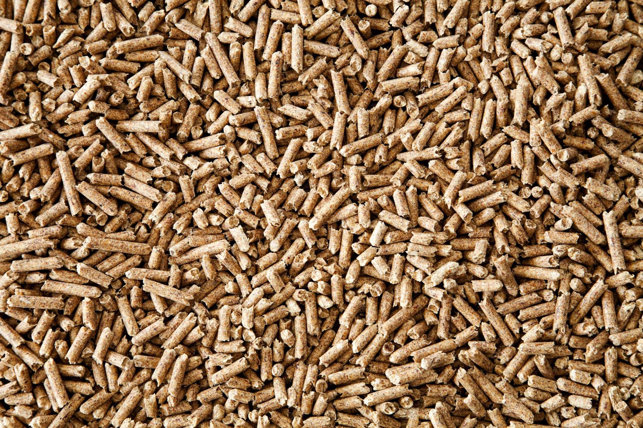 Wood fuel products including wood pellets, briquettes, firewood